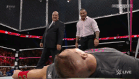 Raw GIFs - Get the best gif on GIFER