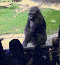 Scared GIFs - Get the best gif on GIFER