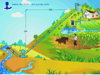 Ram GIFs - Get the best gif on GIFER