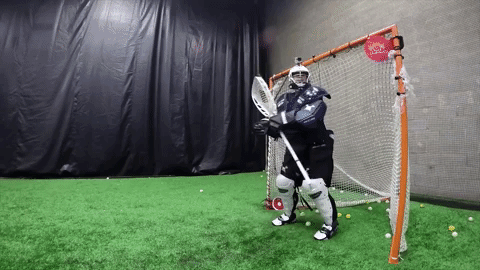 Ecdlax GIFs - Get the best gif on GIFER