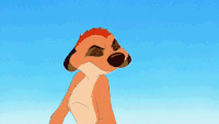 Timon GIFs - Get the best gif on GIFER