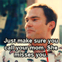 Stifler GIFs - Get the best gif on GIFER