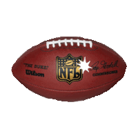 Nfl GIFs - Get the best gif on GIFER
