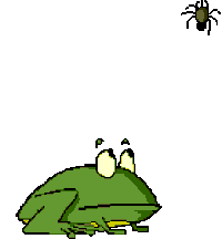 Frog GIFs - Get the best gif on GIFER