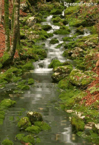 Paysage GIFs - Get the best gif on GIFER