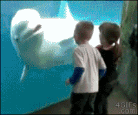 Child GIFs - Get the best gif on GIFER