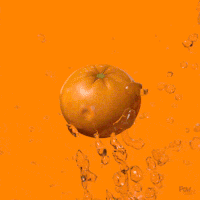 Orange GIFs - Get the best gif on GIFER