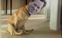 Dragging GIFs - Get the best gif on GIFER