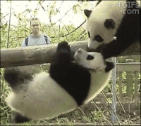 Climbed GIFs - Get the best gif on GIFER