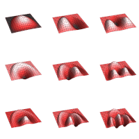 Membrane GIFs - Get the best gif on GIFER