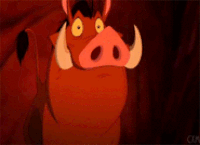 Timon GIFs - Get the best gif on GIFER