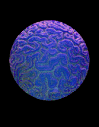 Memory GIFs - Get the best gif on GIFER