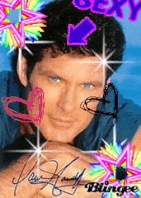 Hasselhoff GIFs - Obtenez le meilleur gif sur GIFER