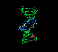 Adn GIFs - Get the best gif on GIFER