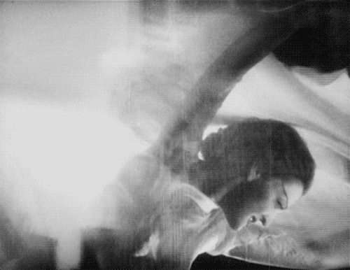 Patagonian GIFs - Get the best gif on GIFER