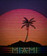 Miami GIFs - Get the best gif on GIFER