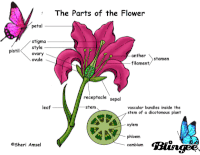 Diagram GIFs - Get the best gif on GIFER