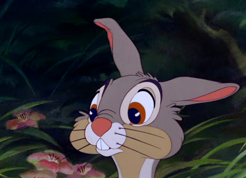 Oreilles GIFs - Get the best gif on GIFER