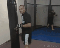 Dojo GIFs - Get the best gif on GIFER