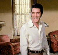1970 GIFs - Get the best gif on GIFER
