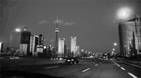 Toronto GIFs - Get the best gif on GIFER