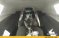 Steering GIFs - Get the best gif on GIFER