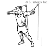 Chest GIFs - Get the best gif on GIFER