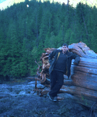 Bosque GIFs - Get the best gif on GIFER