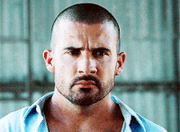 Burrowing GIFs - Get the best gif on GIFER