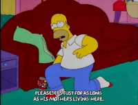 Begging GIFs - Get the best gif on GIFER