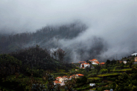 Madeira GIFs - Get the best gif on GIFER