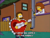 Serenade GIFs - Get the best gif on GIFER