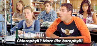 Thesis GIFs - Get the best gif on GIFER