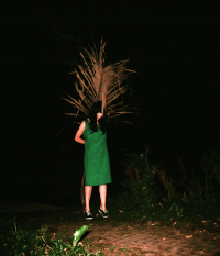 Blurred GIFs - Get the best gif on GIFER