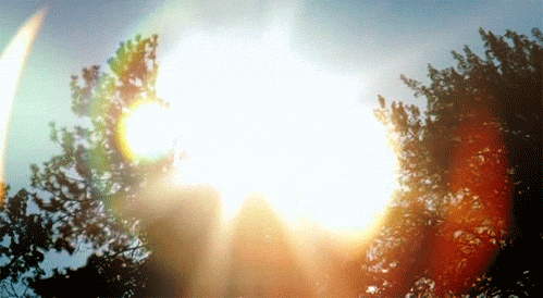Sunlight GIFs - Get the best gif on GIFER
