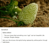 Lado GIFs - Get the best gif on GIFER