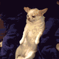 Sources GIFs - Get the best gif on GIFER