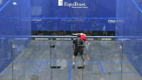 Squash GIFs - Get the best gif on GIFER