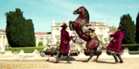 Upright GIFs - Get the best gif on GIFER