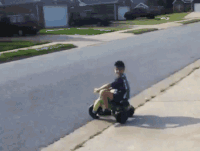 Driver GIFs - Get the best gif on GIFER