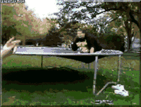 Barrier GIFs - Get the best gif on GIFER