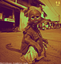 Odd GIFs - Get the best gif on GIFER