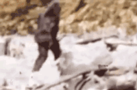 Sasquatch GIFs - Get the best gif on GIFER