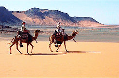 Arabia GIFs - Get the best gif on GIFER
