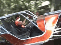 Buggy GIFs - Get the best gif on GIFER