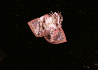 First order GIFs - Get the best gif on GIFER