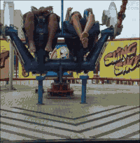 Screw GIFs - Get the best gif on GIFER