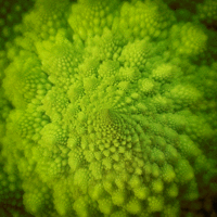 Broccoli GIFs - Get the best gif on GIFER