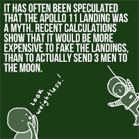 Fun fact GIFs - Get the best gif on GIFER