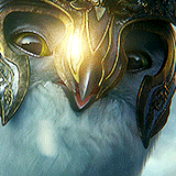 Legend of the guardians GIF - Conseguir o melhor gif em GIFER